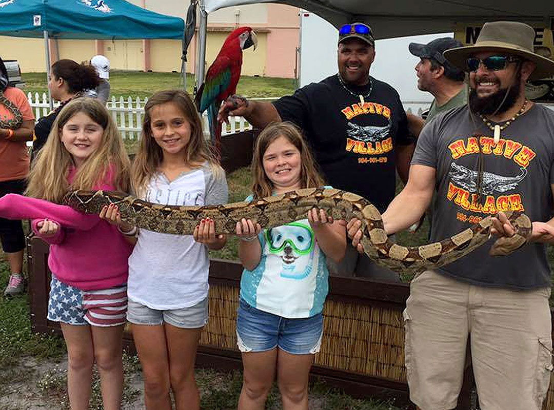 Gallery – Native Village Reptiles