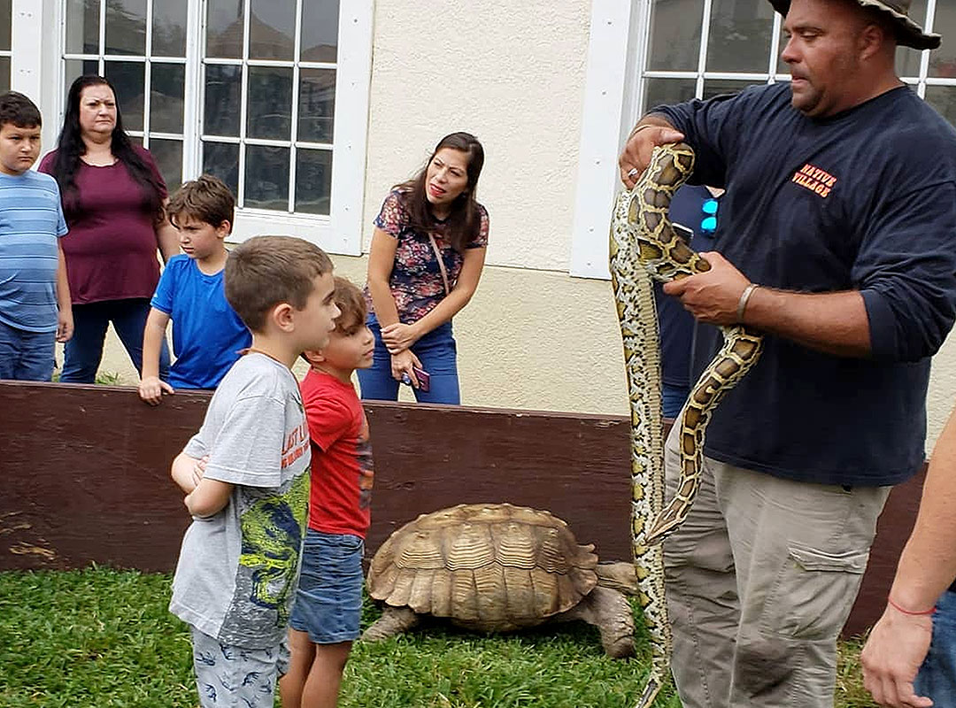 Gallery – Native Village Reptiles